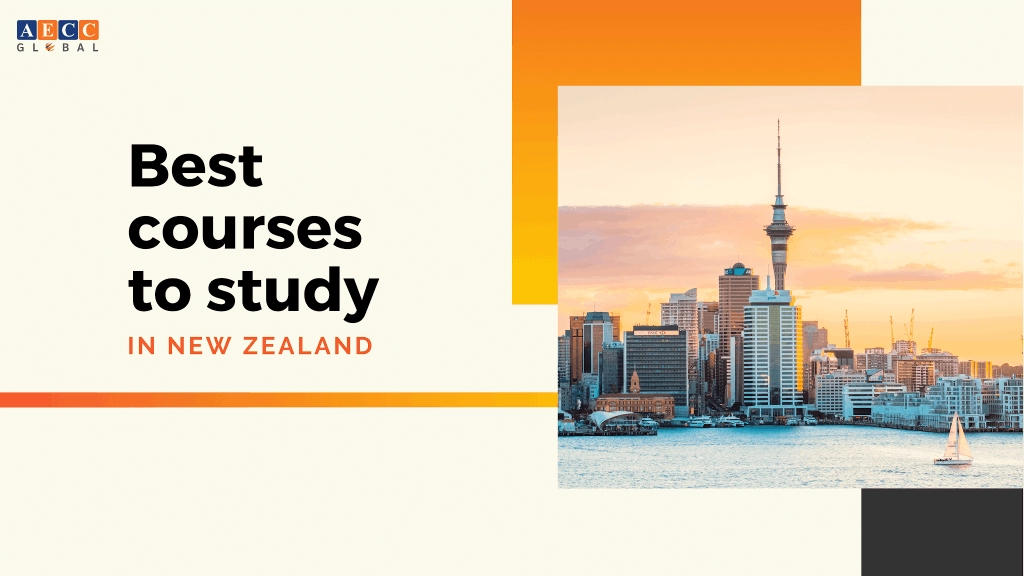 Best Courses to Study in New Zealand For Students - AECC