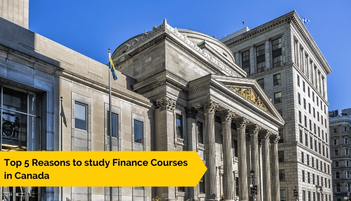Top 5 Reasons To Study Finance Courses In Canada - AECC