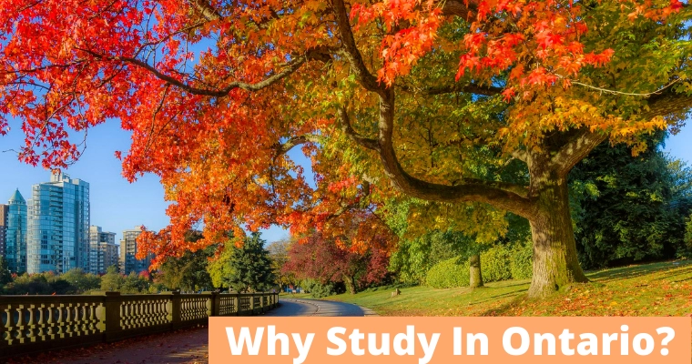 Top Reasons To Know Why Study in Ontario Canada - AECC